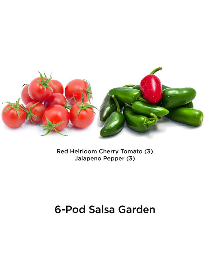 Macy's AeroGarden Salsa Garden Seed Pod Kit, 6-Pod - Macy's