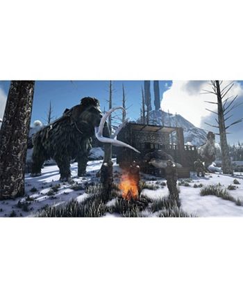 Studio Wildcard ARK: Survival Evolved - Nintendo Switch - Macy's