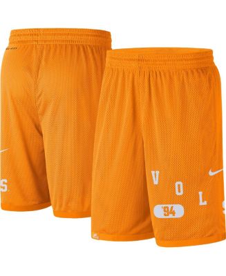 Men's Nike Tennessee Orange Tennessee Volunteers Wordmark Performance ...