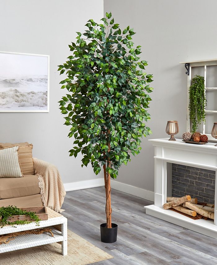 Nearly Natural 8' Ficus Tree - Macy's