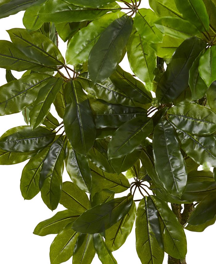 Nearly Natural Scheffler 5' Artificial Indoor/Outdoor Tree - Macy's