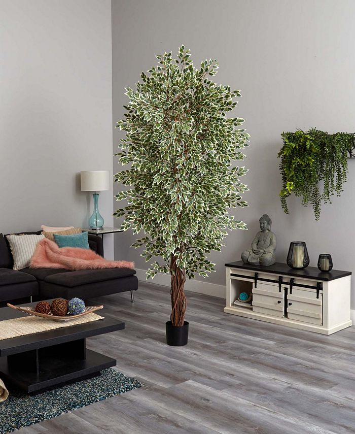 Nearly Natural 7.5' Variegated Mini Ficus Tree - Macy's