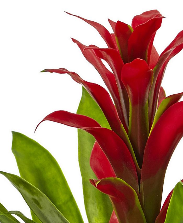Nearly Natural Bromeliad Artificial Arrangement in Glass Vase - Macy's