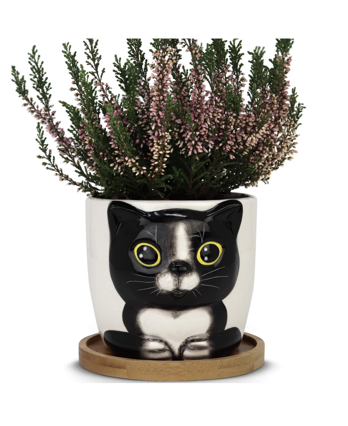 Window Garden Cat Planter - Large Kitty Pot for Indoor House Plants ...