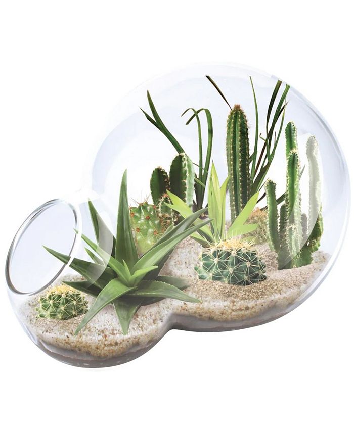 Areyougame Unique Gardener Double Sphere Glass Terrarium Desert Escape ...