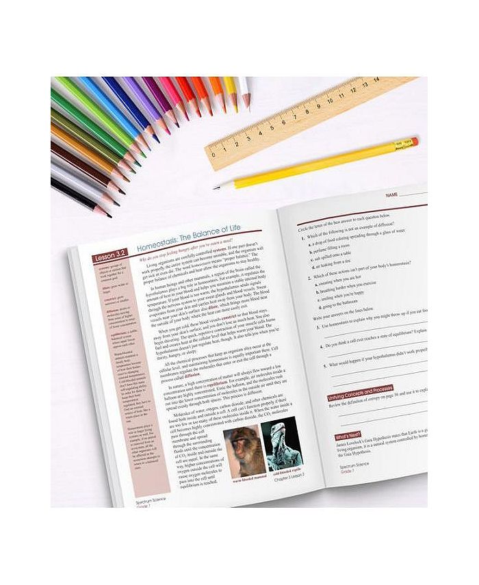 Barnes & Noble Spectrum Science, Grade 7 by Spectrum Compiler - Macy's