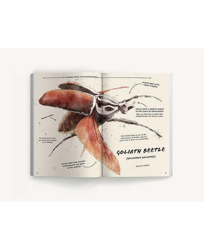 Barnes & Noble The Ultimate Bug Field Guide- The Entomologist's ...