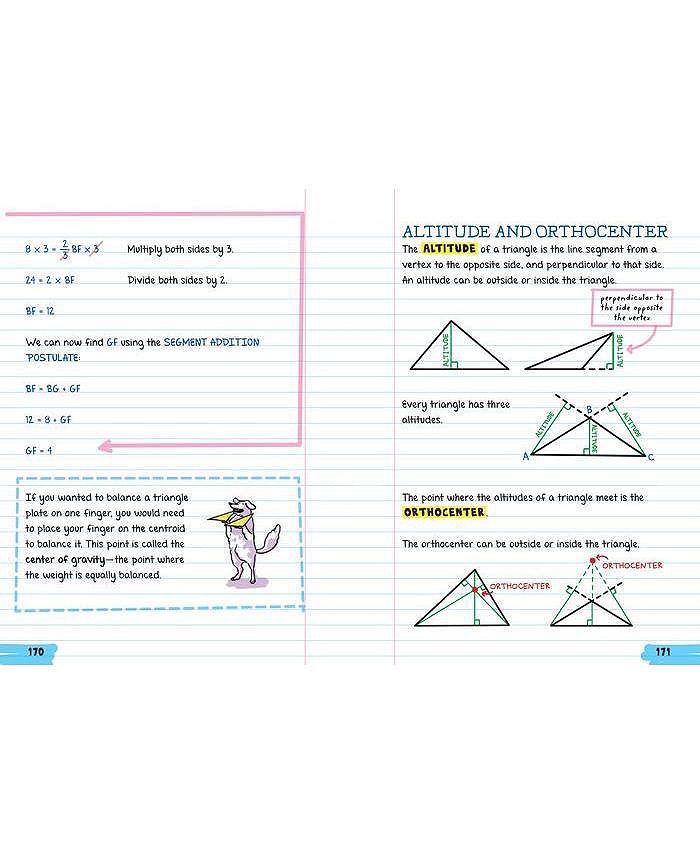 Barnes & Noble Everything You Need to Ace Geometry in One Big Fat ...