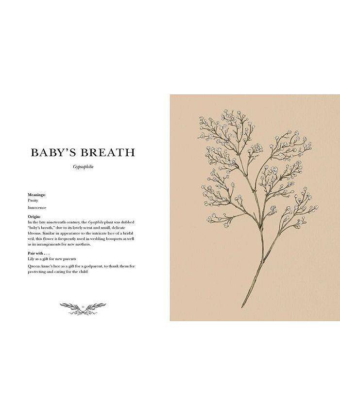 Barnes & Noble Floriography- An Illustrated Guide to the Victorian ...