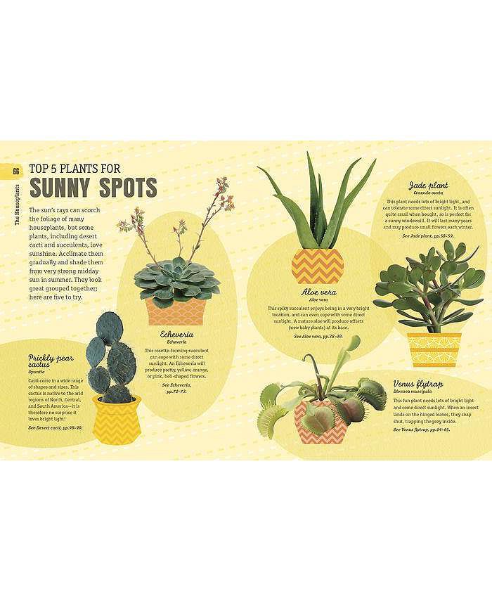 Barnes & Noble How Not to Kill Your Houseplant- Survival Tips for the ... Barnes & Noble How Not to Kill Your Houseplant- Survival Tips for the ...