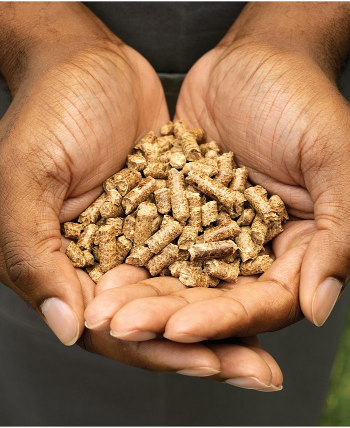 Ninja Wood Fire Pellets, All Purpose Blend 2-Lbs Bag, Upto 20 Cooking ...