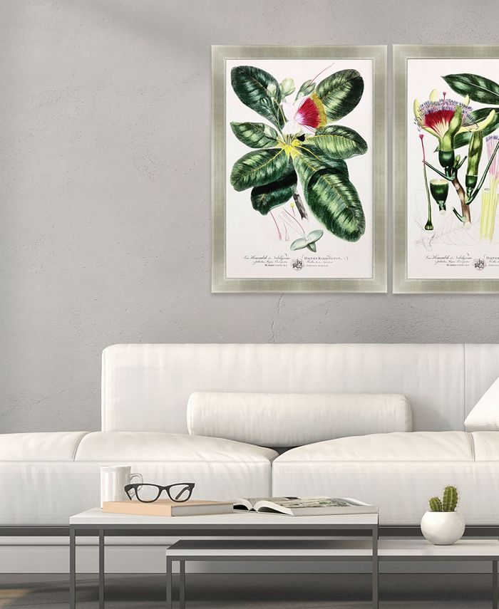 Paragon Picture Gallery Imperial Tropical I Framed Art - Macy's