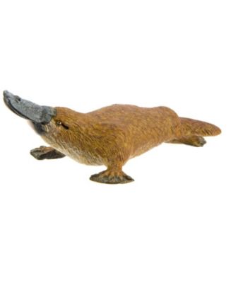 Safari Ltd Platypus Wild Safari Figure - Macy's