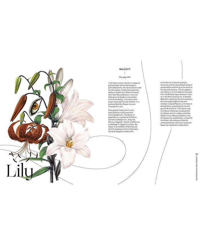 Barnes & Noble Flowers and Their Meanings- The Secret Language and ...