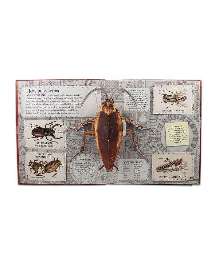 Barnes & Noble Bugs- A Stunning Pop-Up Look at Insects, Spiders, and ...