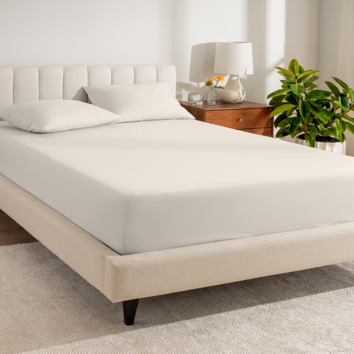 Click here for Bare Home Percale Fitted Sheet - French beige prices