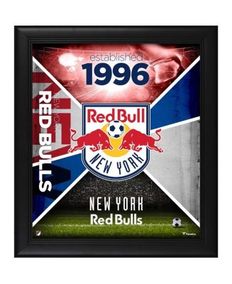 New York Red Bulls Framed 15" x 17" Team Impact Collage - Macy's