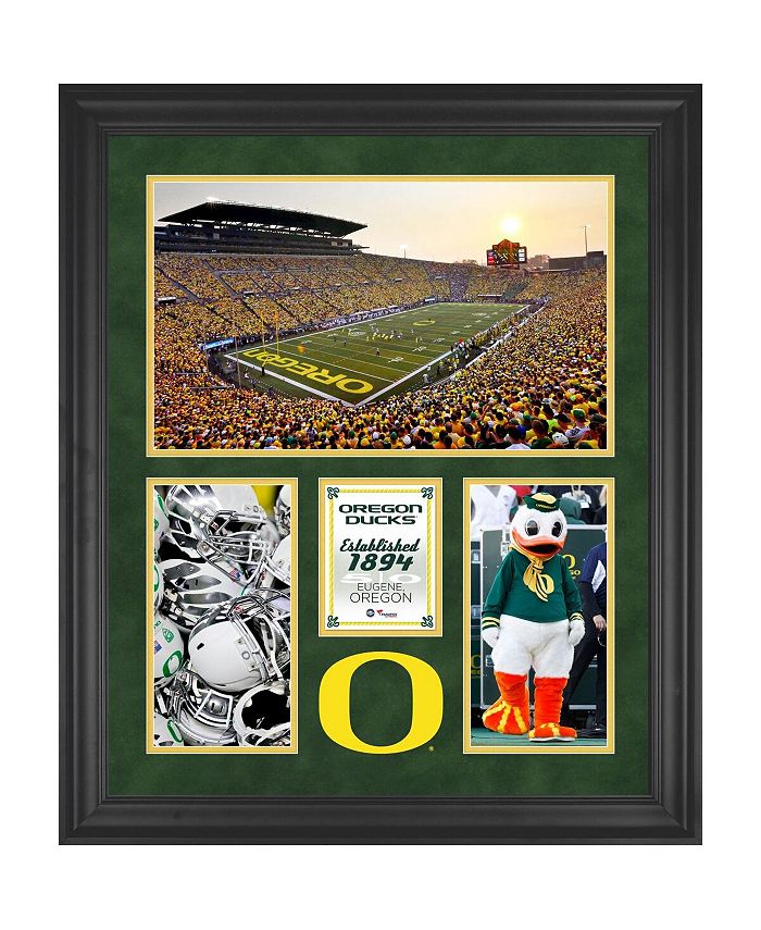 Fanatics Authentic Oregon Ducks Autzen Stadium Framed 20" x 24" 3 ...