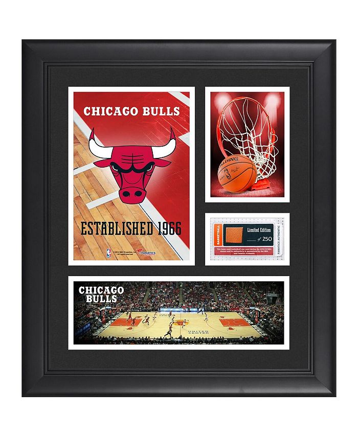 Fanatics Authentic Chicago Bulls Framed 15'' x 17'' Team Logo Collage ...