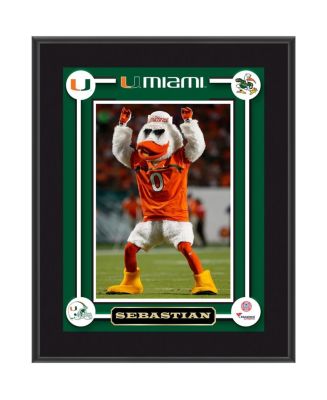 Fanatics Authentic Miami Hurricanes Sebastian Mascot 10.5'' x 13 ...