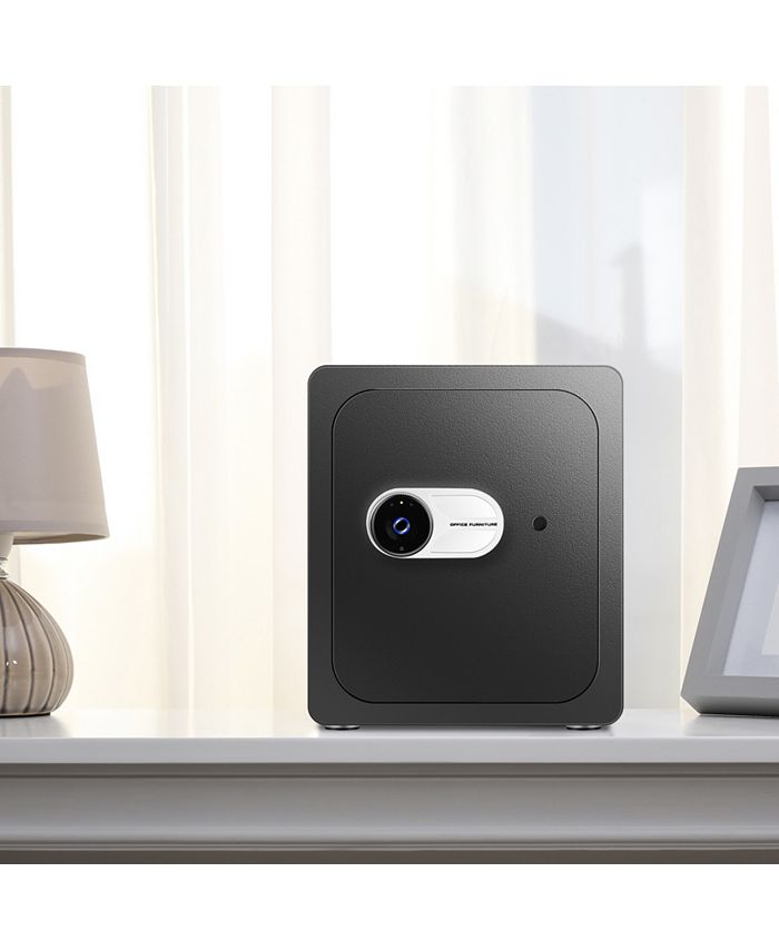 Simplie Fun 2 Cub Safe Box, 3 opening methods Safe for Money Valuables ...