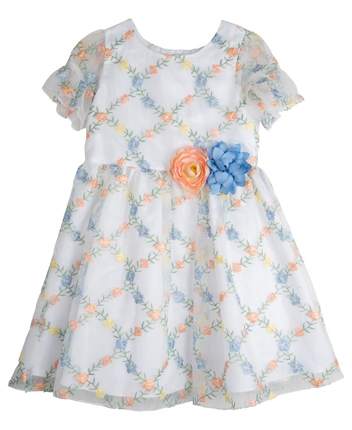 Rare Editions Toddler Girls 3D Floral Embroidered Social Dress - Macy's