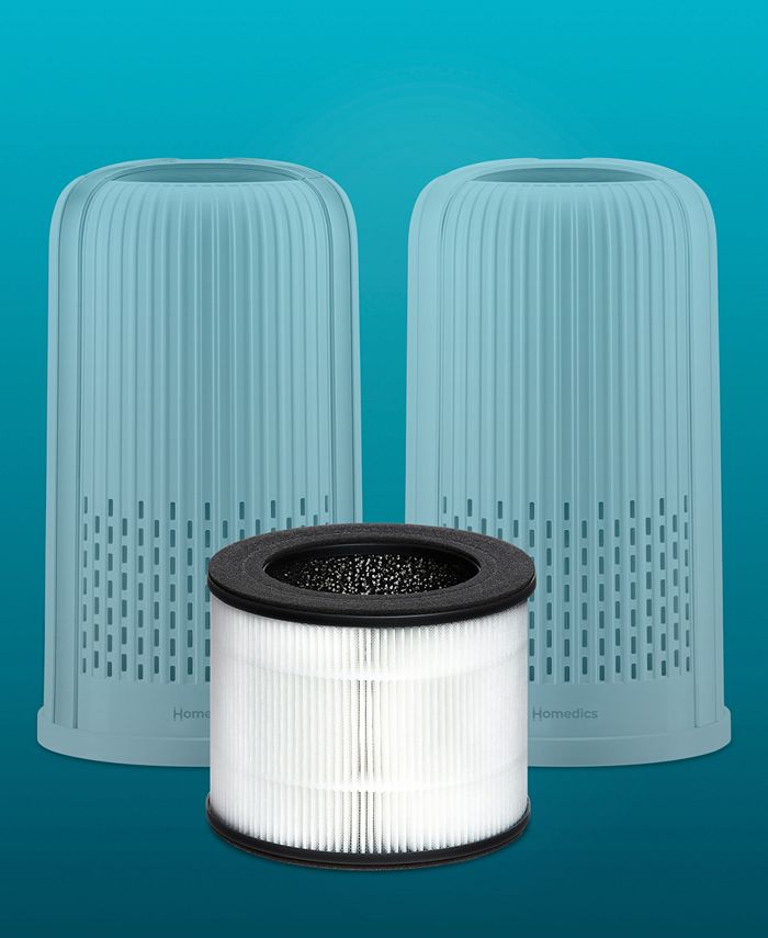 Homedics TotalClean Replacement HEPA-Type Filter for Homedics, AP-T10 ...