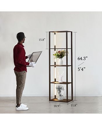 FENLO Fancy Plus - LED Display Shelf Floor Lamp with 3 Brightness ...