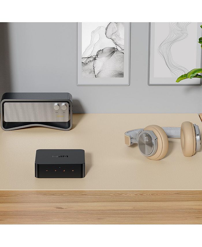 WiiM Pro Multiroom Streamer and Preamp with Built-In DAC, AirPlay 2 ...