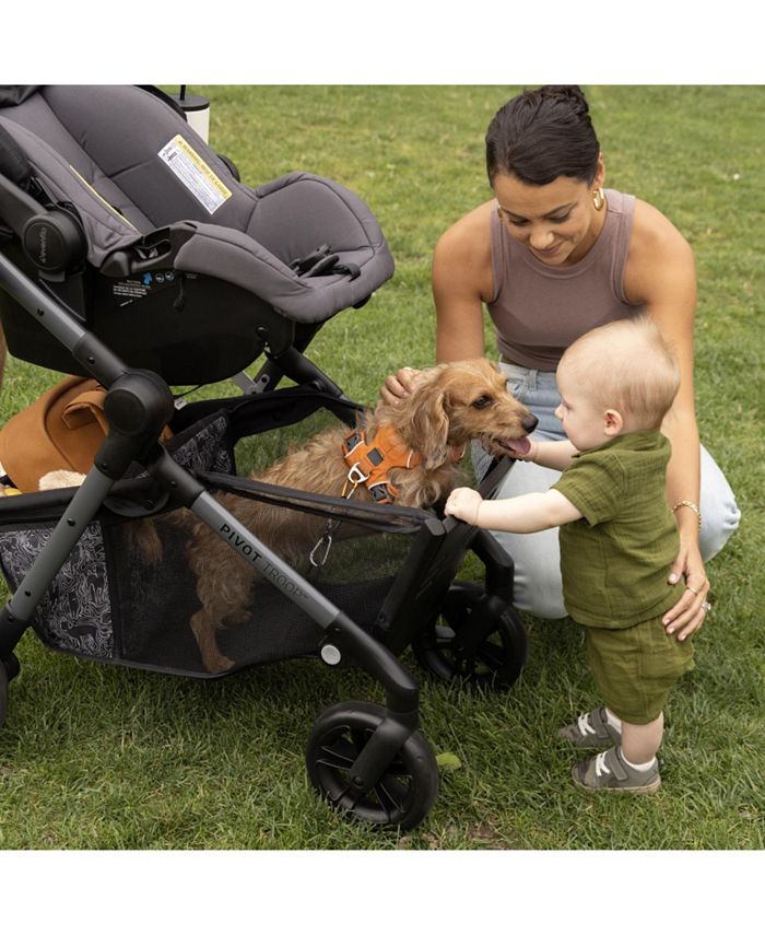 Evenflo Pivot Troop Child Pet Modular Travel System with Litemax ICS ...