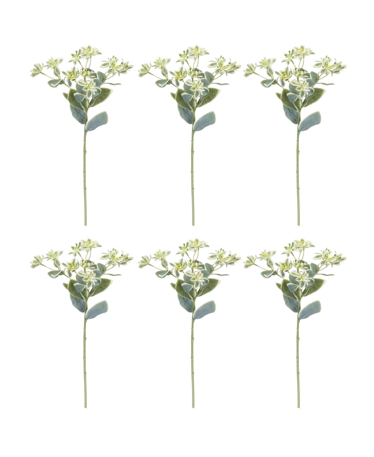 Click here for Slickblue Vibrant Euphorbia Spray for Floral Arran... prices
