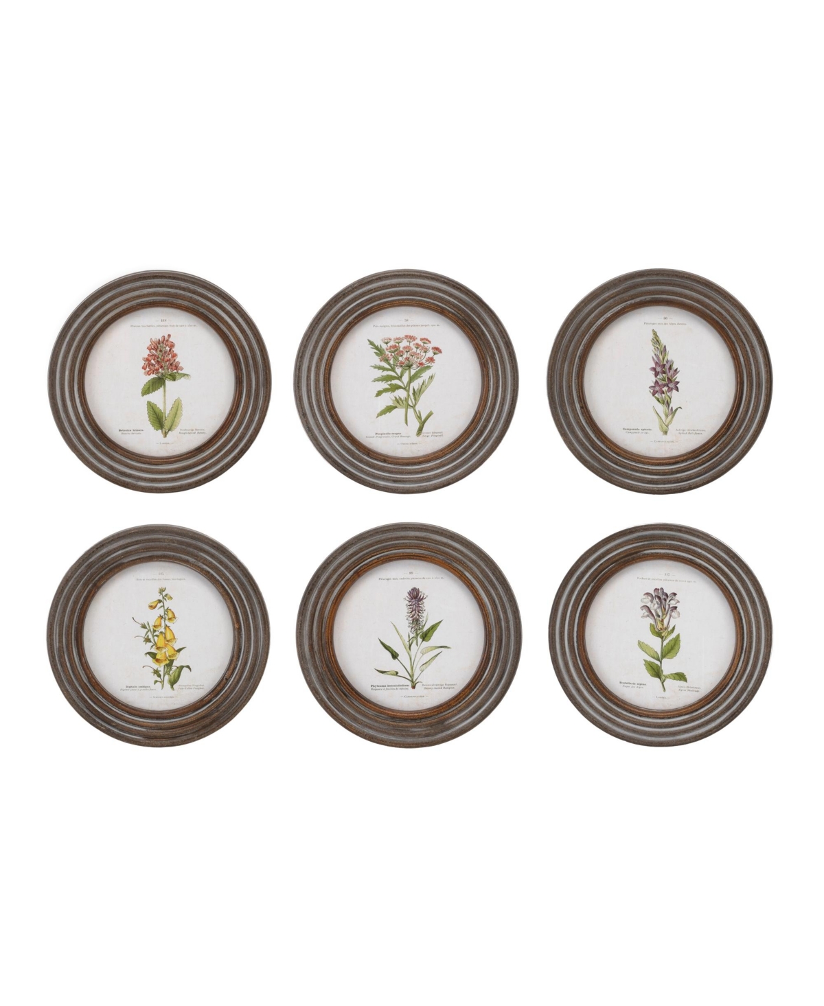 Click here for Slickblue Framed Floral Print (Set of 6) 9.5D Wood... prices