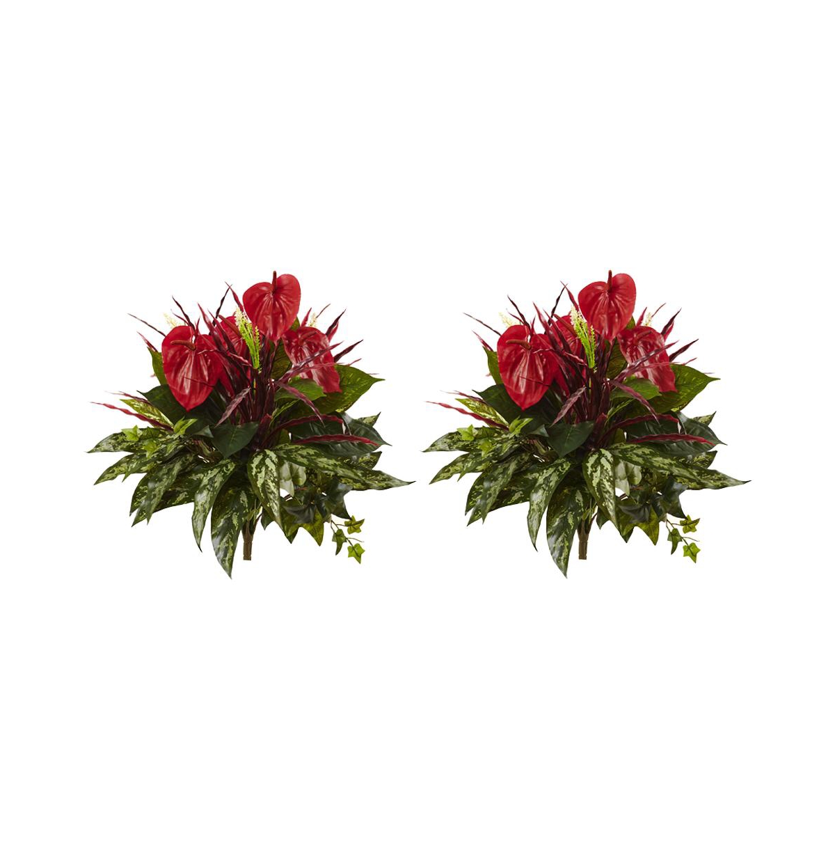 Click here for Slickblue Mixed Anthurium Bush for Vibrant Indoor... prices