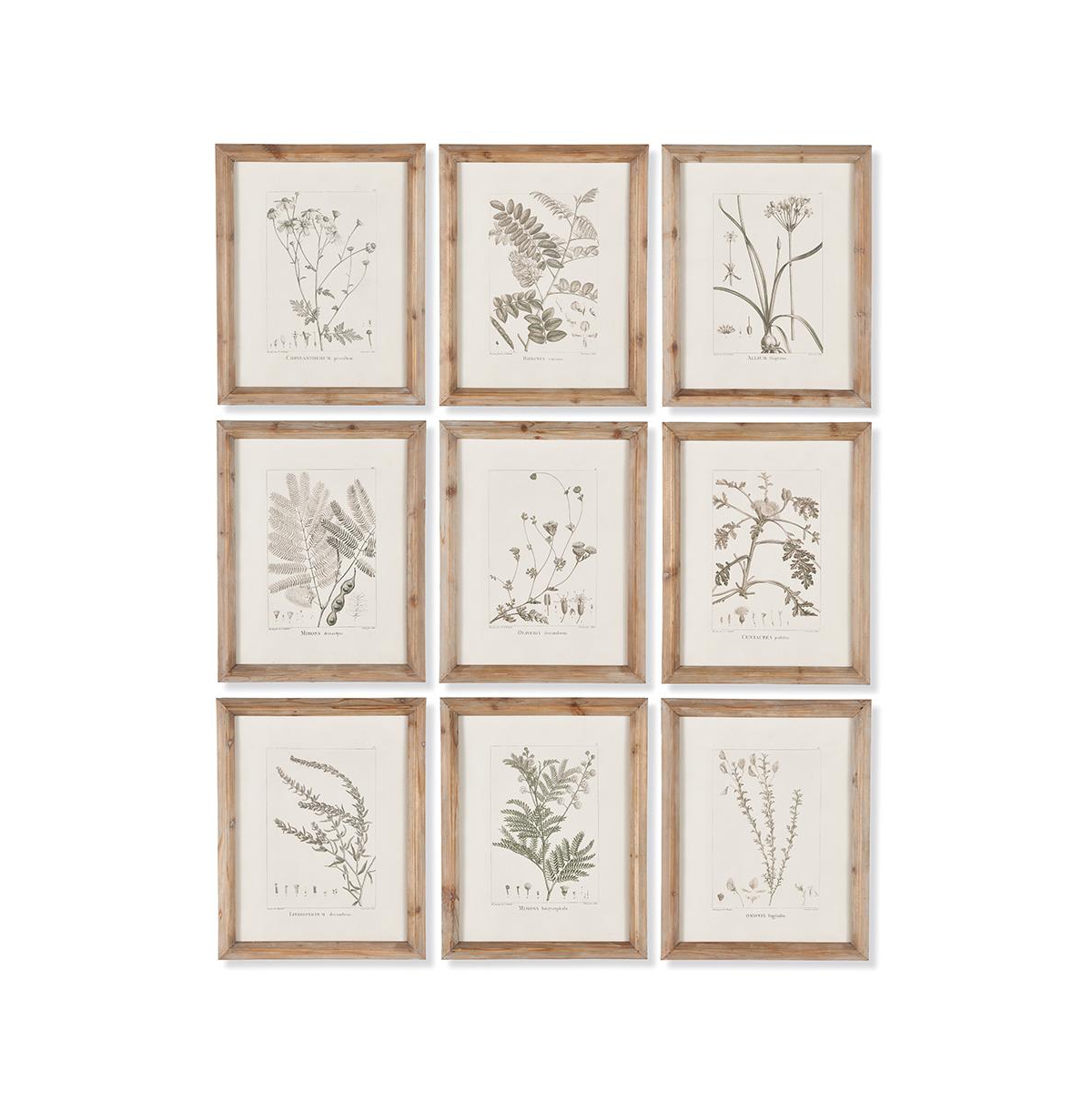 Click here for Botanical Illustrations Set of 9 - Grey prices