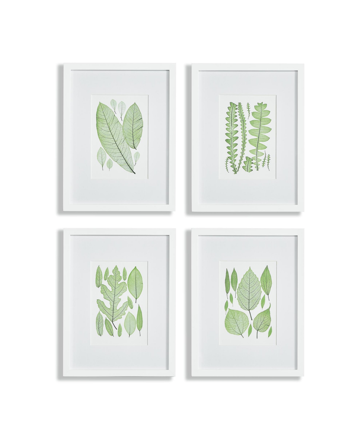 Click here for Assorted Leaf Prints  Set Of 4 prices