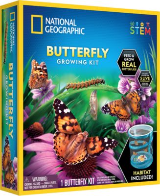 National Geographic Butterfly Growing Kit - Macy's