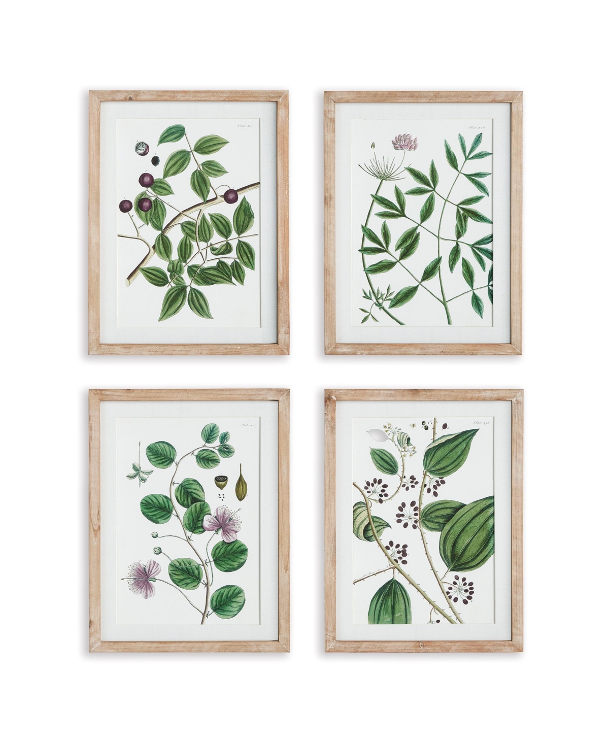 Click here for Verdant Branch Prints Set of 4 - Green prices