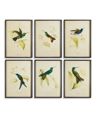 Hummingbird Prints Set of 6 - Macy's