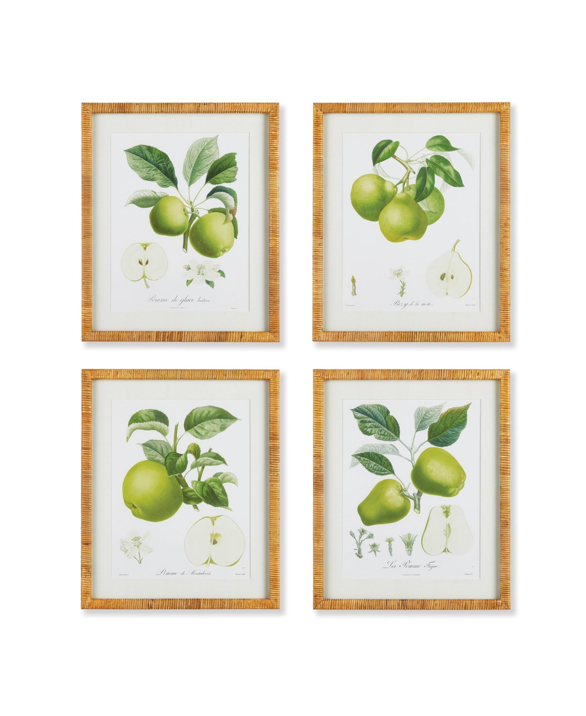 Click here for Fruit Study Set of 4 - Green prices