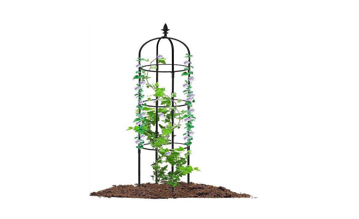 Click here for Garden Obelisk Trellis for Climbing Plants and Ele... prices