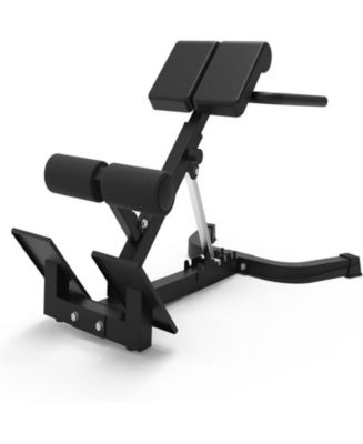 Roman Chair Back Extension, Dual Adjustable Back Extension Bench for ...