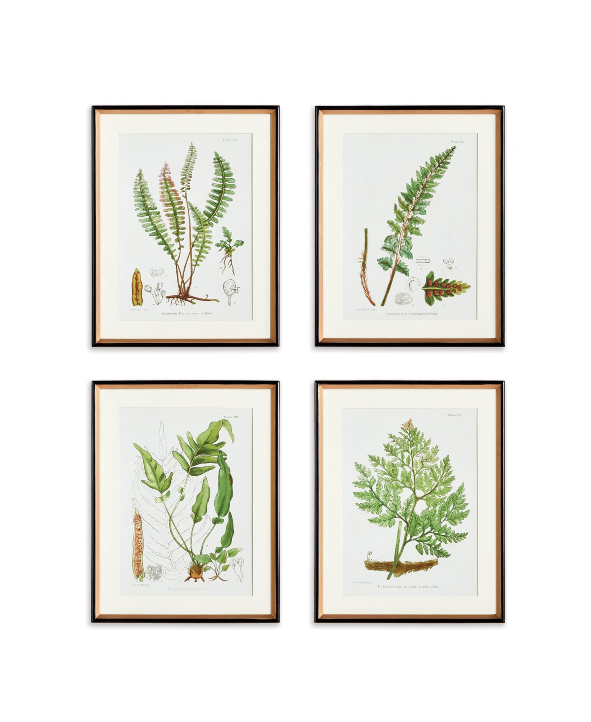 Click here for 17.75" x 23" Decorative Structural Fern... prices