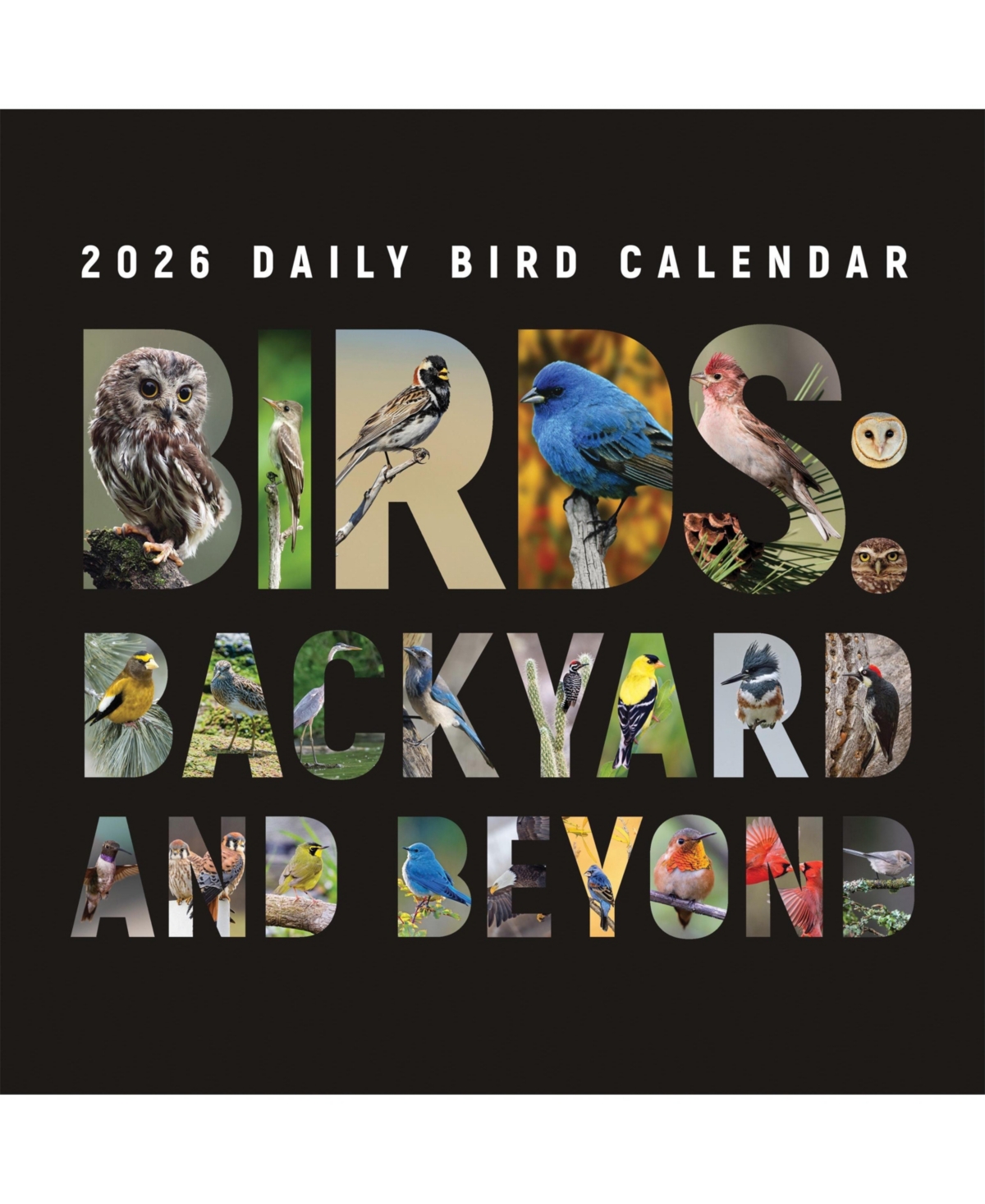 Click here for 2026 Birds: Backyard and Beyond Wall Calendar - Mu... prices