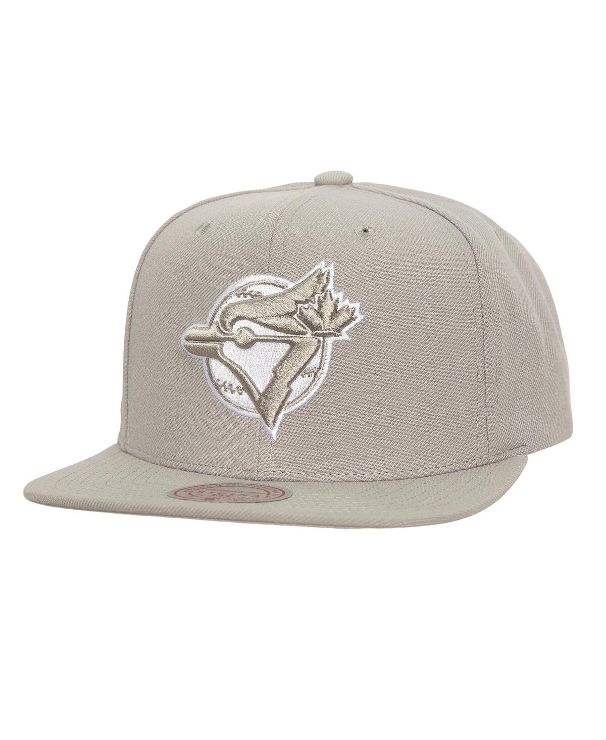 Click here for Mitchell & Ness Mens Gray Toronto Blue Jays Snapba... prices