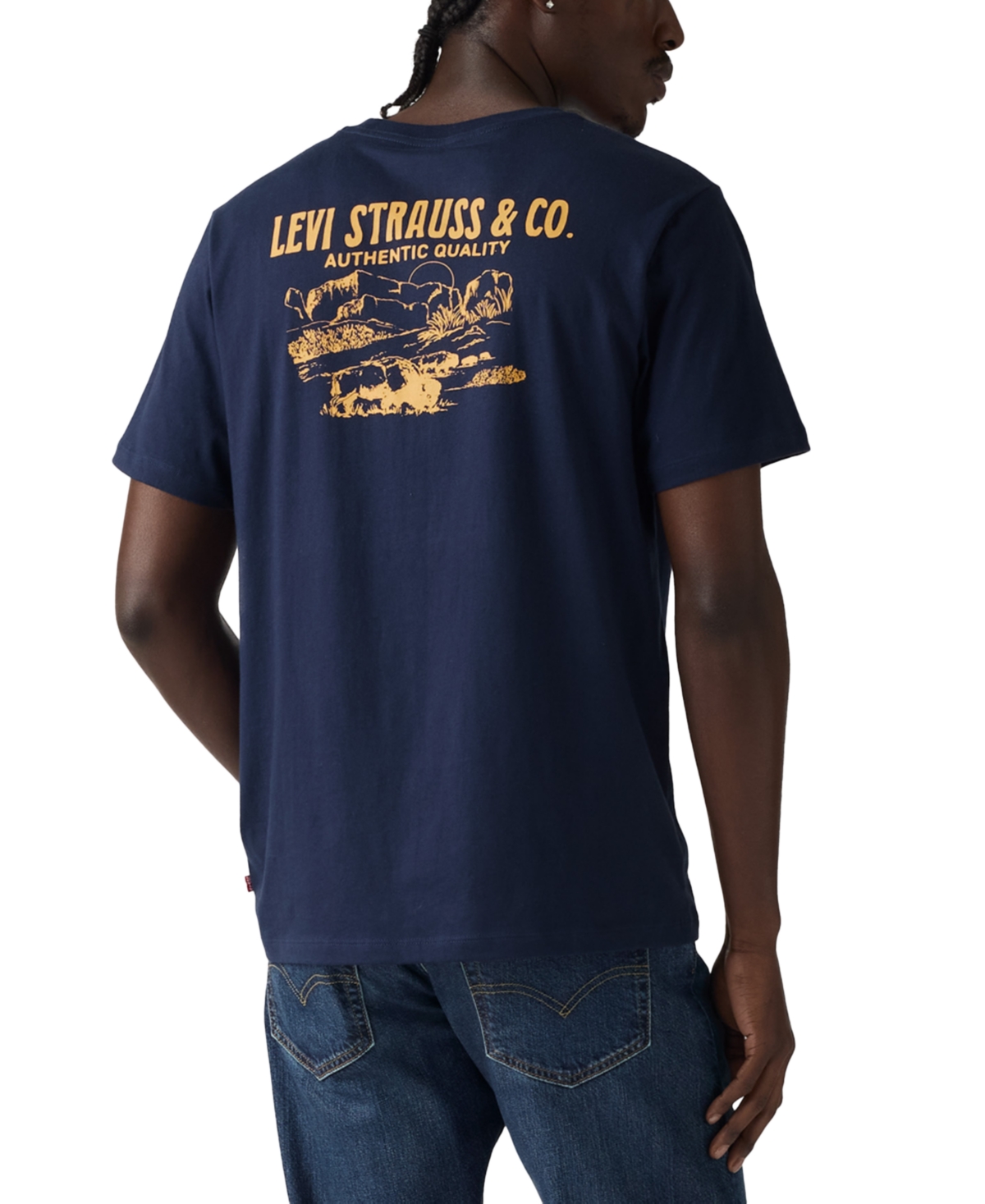 Click here for Levis Mens Classic Short Sleeve Graphic Crewneck T... prices