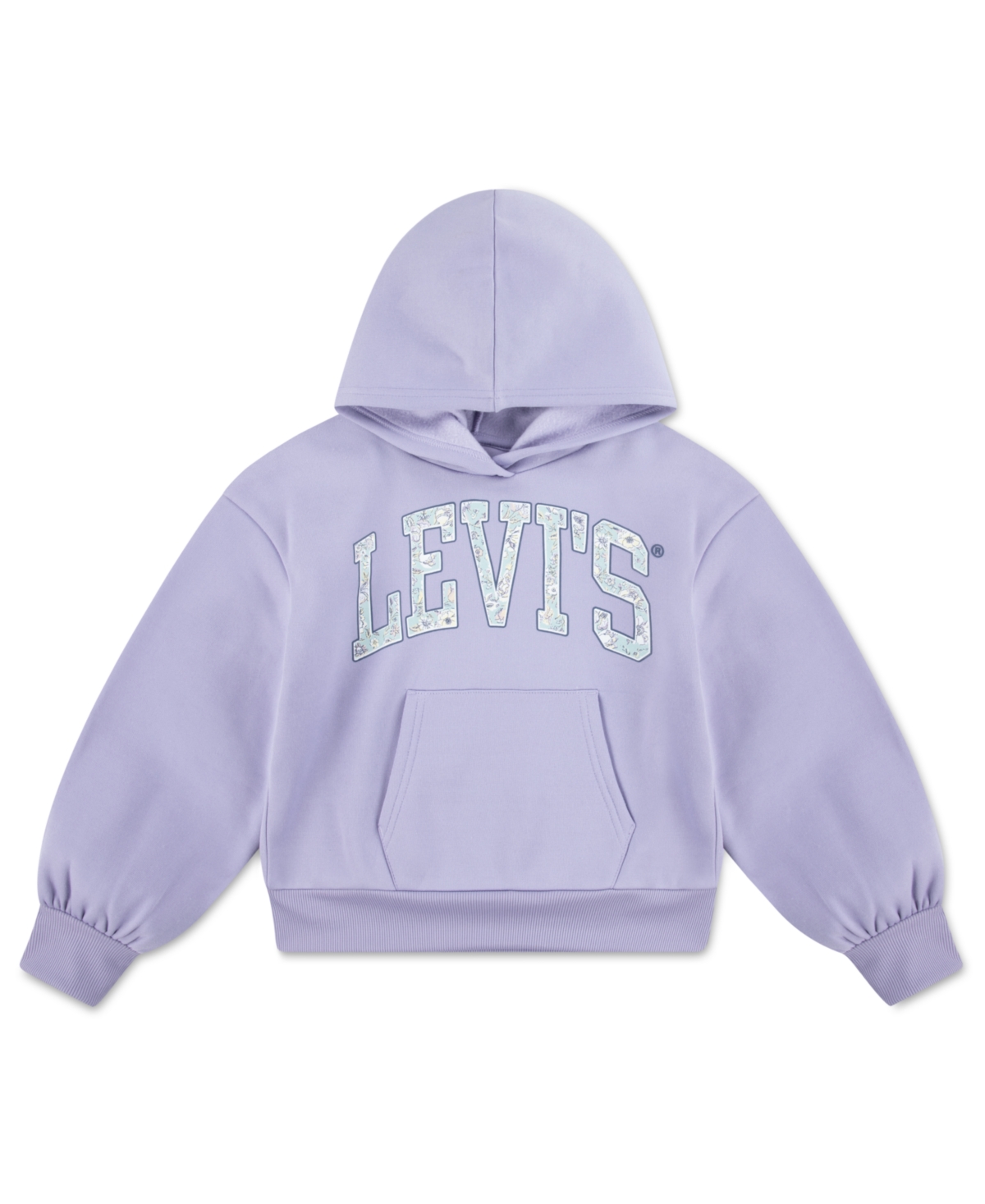 Click here for Levis Big Girls Collegiate Oversized Pullover Hood... prices