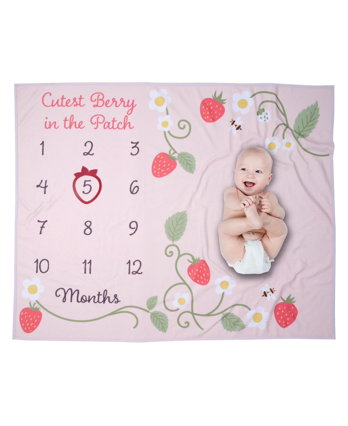 Click here for Lambs & Ivy Strawberry Patch Milestone Photo Oppor... prices
