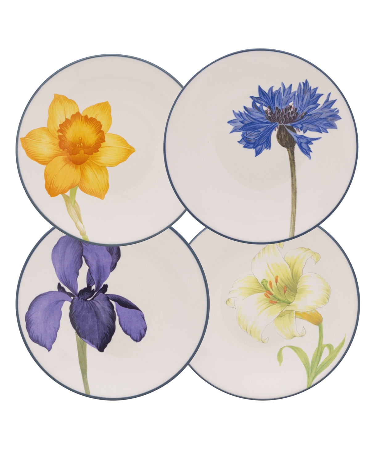 Click here for Noritake Colorwave Mini Floral Appetizer Plates  S... prices