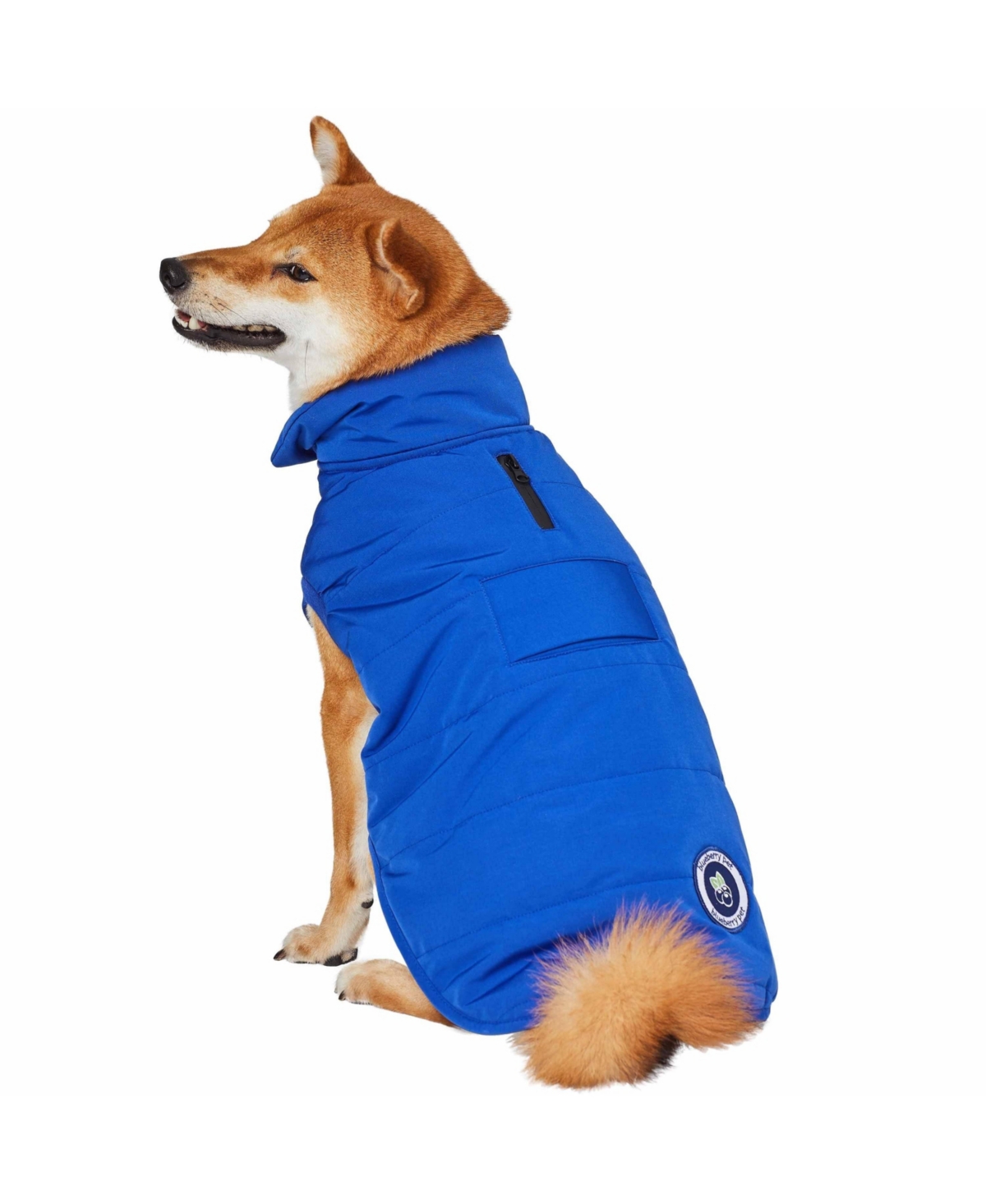 Click here for Blueberry Pet Windproof Waterproof Quilted Dog Puf... prices