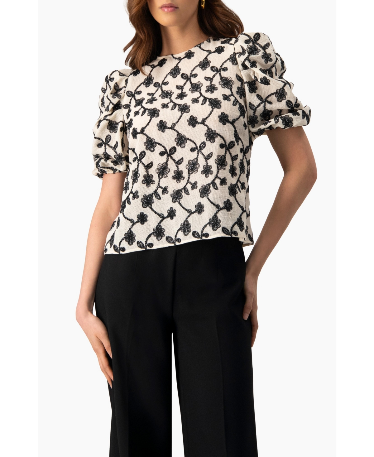 Click here for Ivonne Womens Embroidered Puff-Sleeve Blouse - Nat... prices